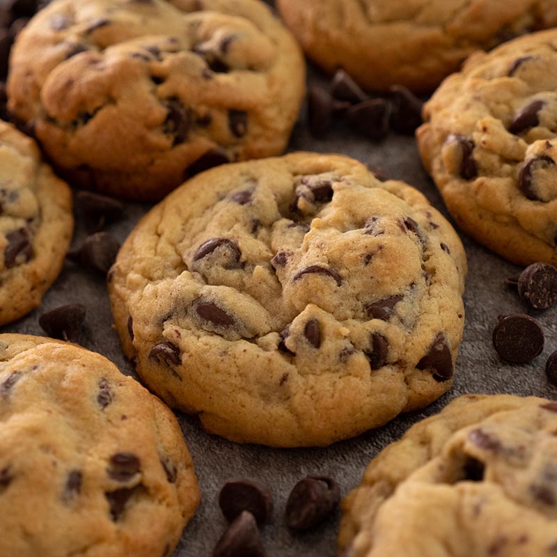 Chocolate Chip – DOUGH DIGGER